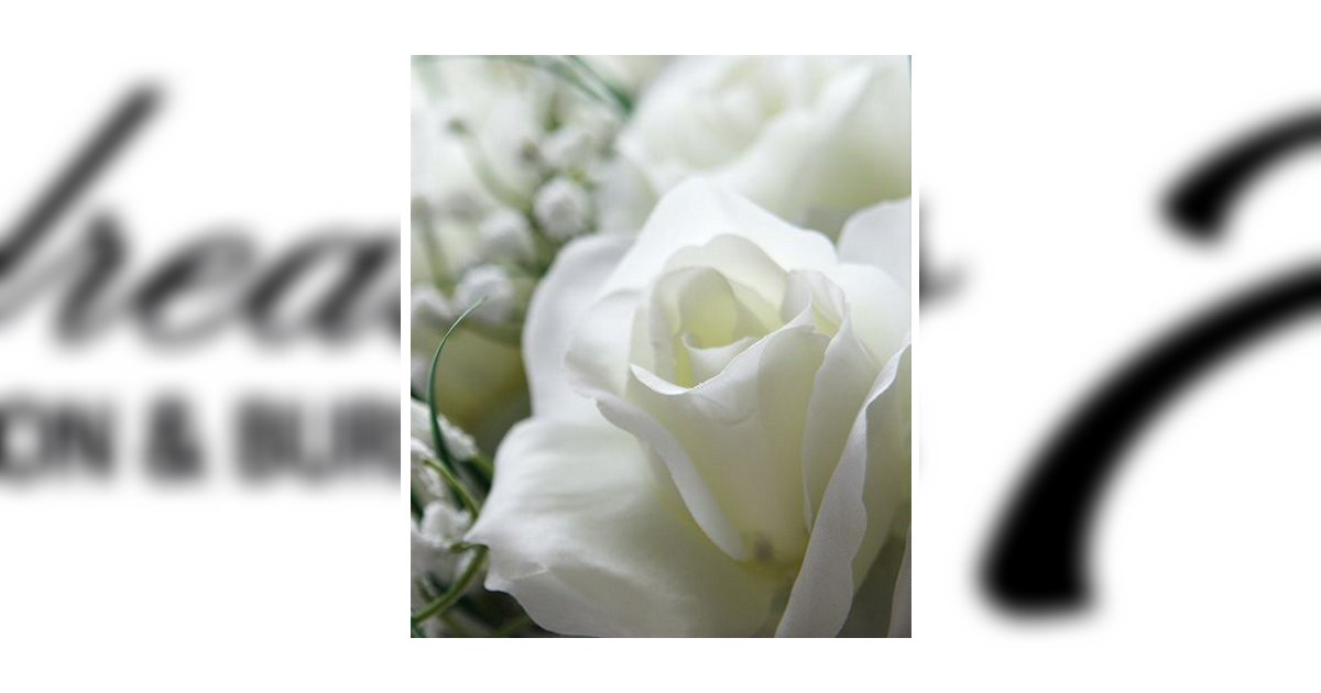 Susan Heide Obituary April 4, 2025 - Andreason's Cremation & Burial Service