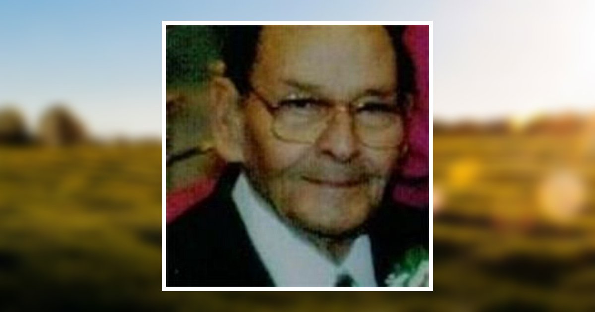 Donald Mason Obituary November 30, 2006 - Chamberlain Huckeriede ...