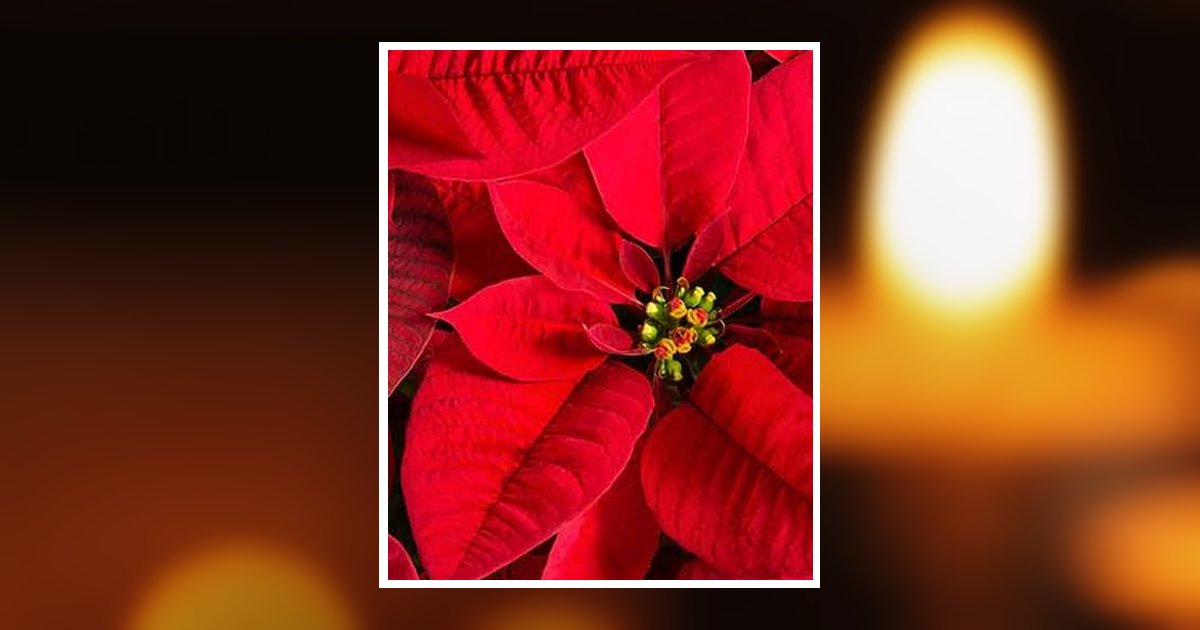 Shirley J Brandenburg Obituary December 25, 2025 - Oliver-Cheek Funeral ...