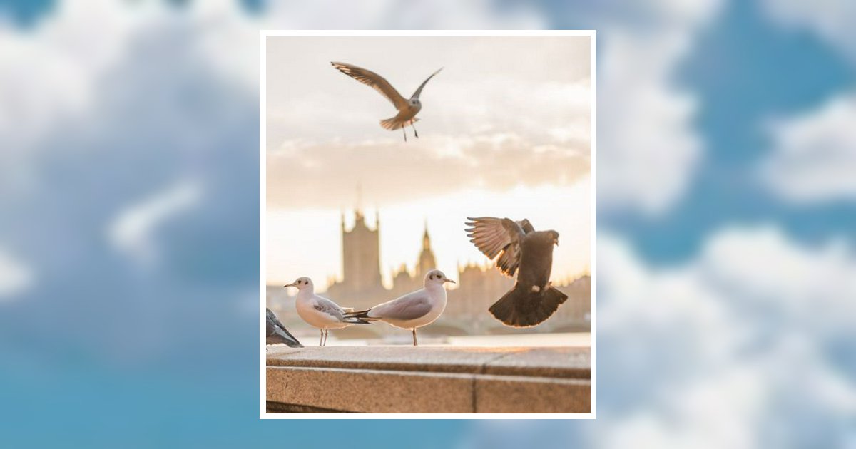 Gary Mark Maley Obituary March 4, 2024 - Oklahoma City Cremation