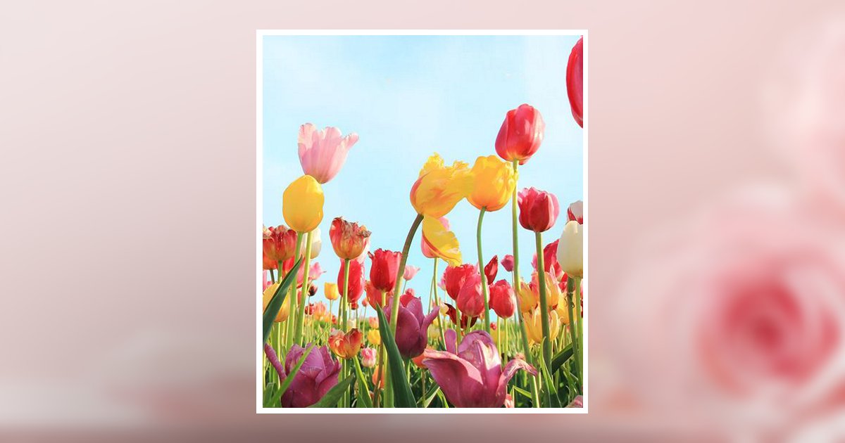 Helen T Sterrick Obituary January 26, 2025 - Hopko Funeral Home