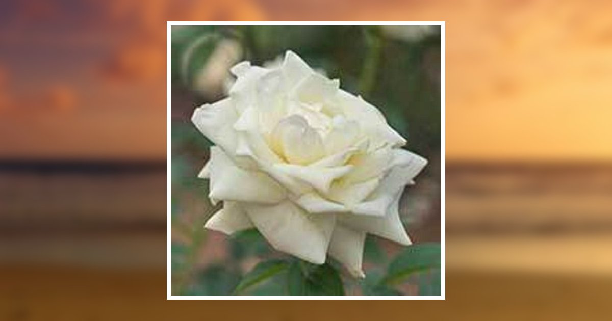 Thomas S. Hart Obituary March 23, 2004 - Saunders-Dwyer Funeral Homes