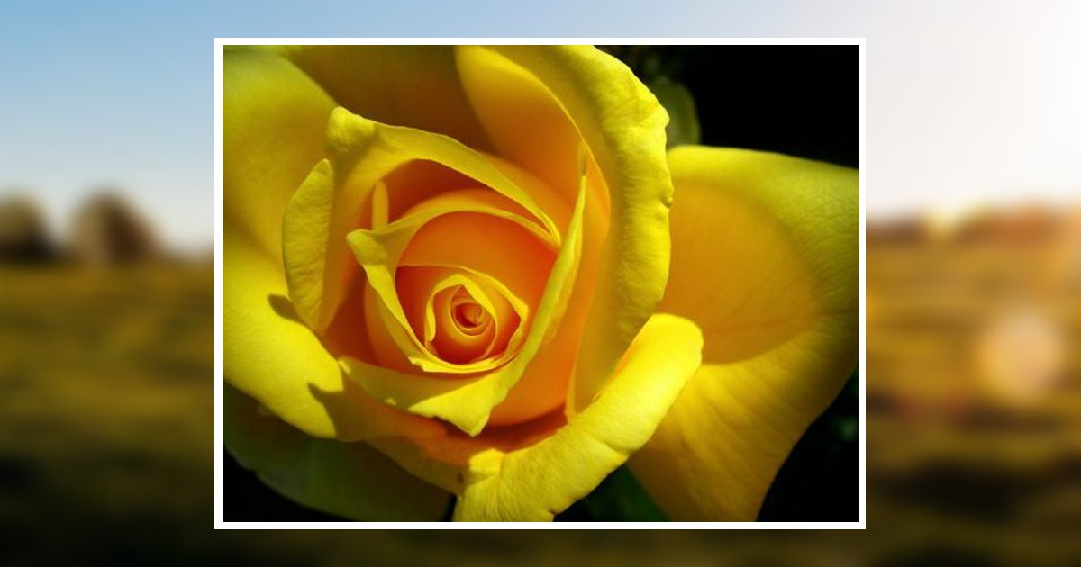 William Simonson Obituary May 13, 2021 - Fayette Memorial Funeral Home ...