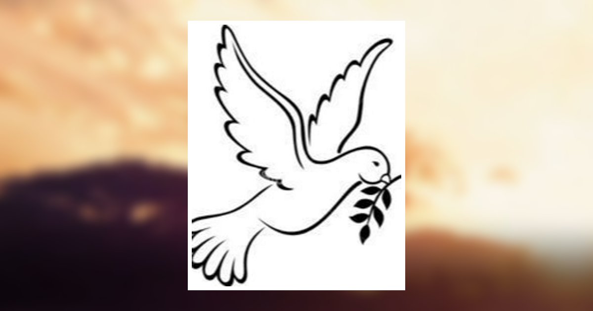 John David Holbrook Obituary January 25, 2025 - Vankirk-Grisell Funeral ...