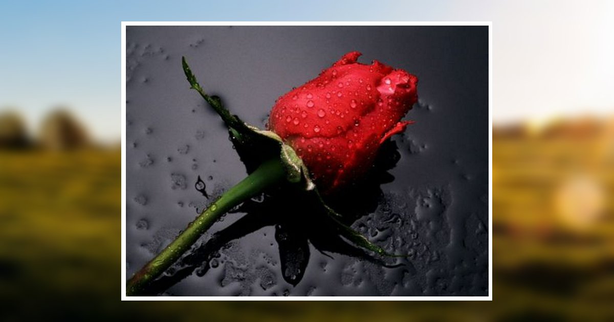 Mary E. Sprague Obituary September 11, 2014 - Mockler Funeral Home