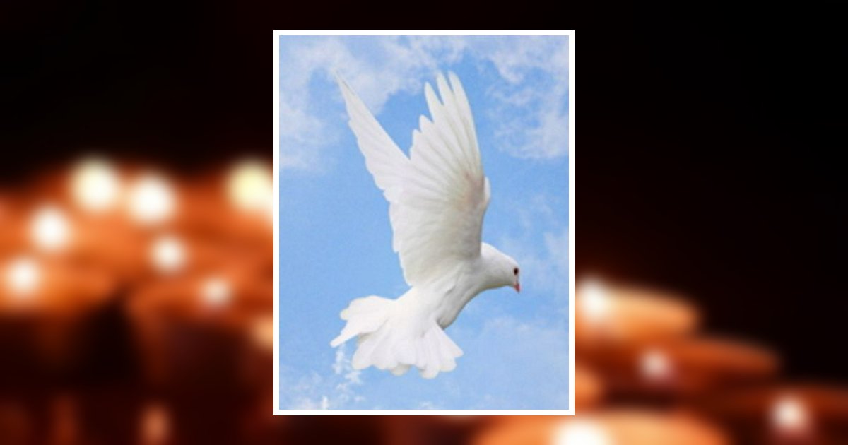 Ronald William Molnar Obituary July 24, 2019 - Eggleston Meinert ...