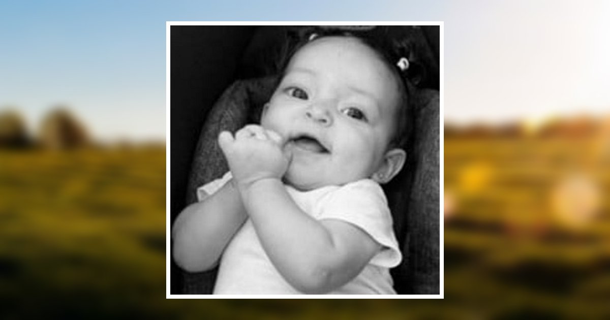 Shyla Rose Spruill Obituary April 7, 2020 - Manke Memorial Funeral ...