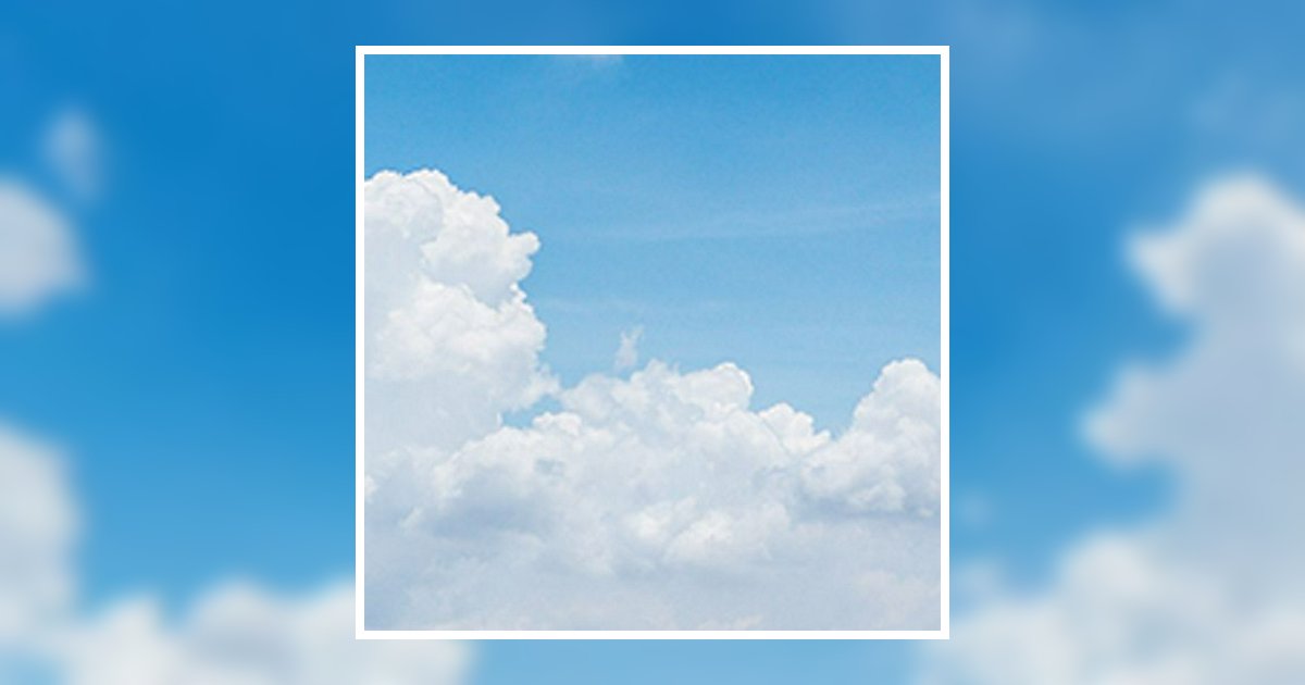 Kimberly Conner Obituary May 29, 2024 - Newcomer Cincinnati