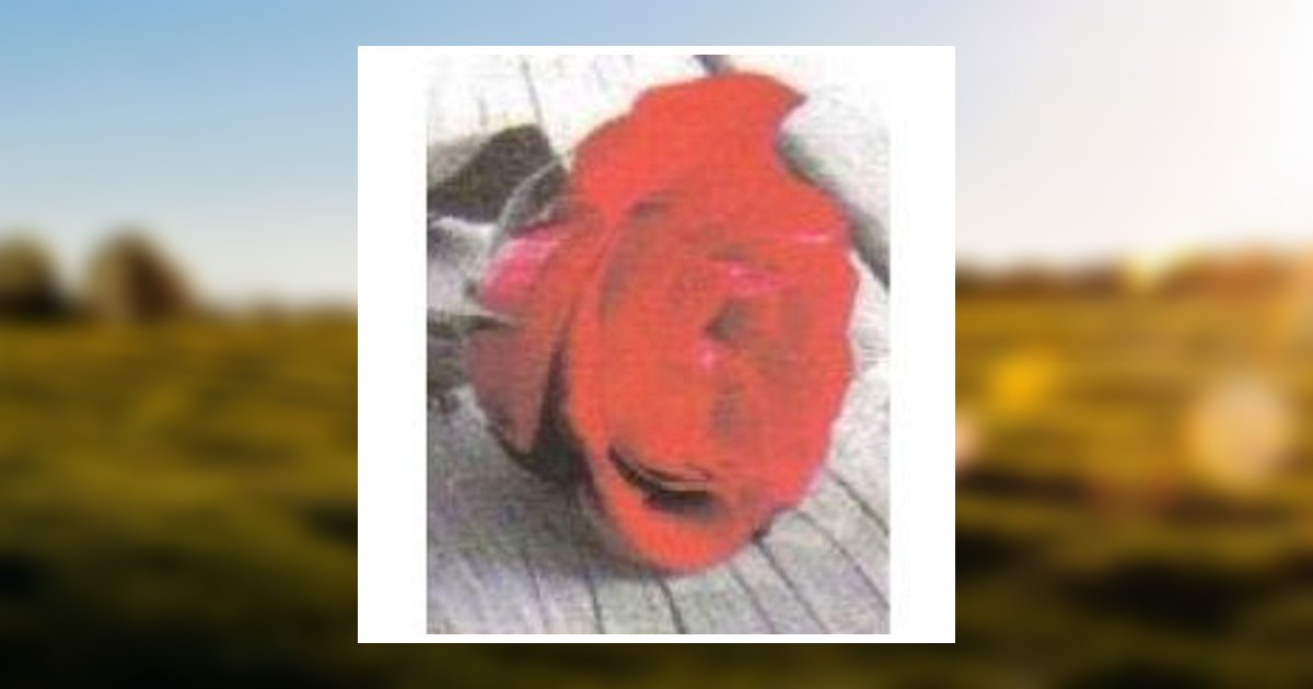 Nancy Rizzo Obituary April 27, 2009 - Clay-Barnette Funeral Home