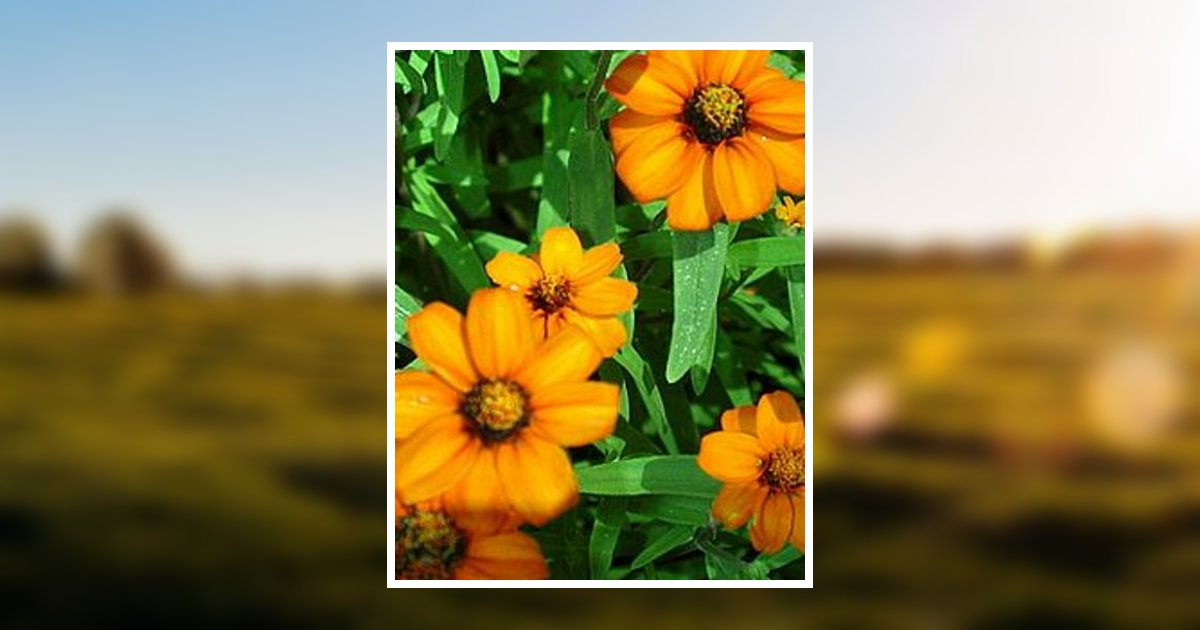 Anne Carano Obituary September 9, 2018 - Saddleback Chapel