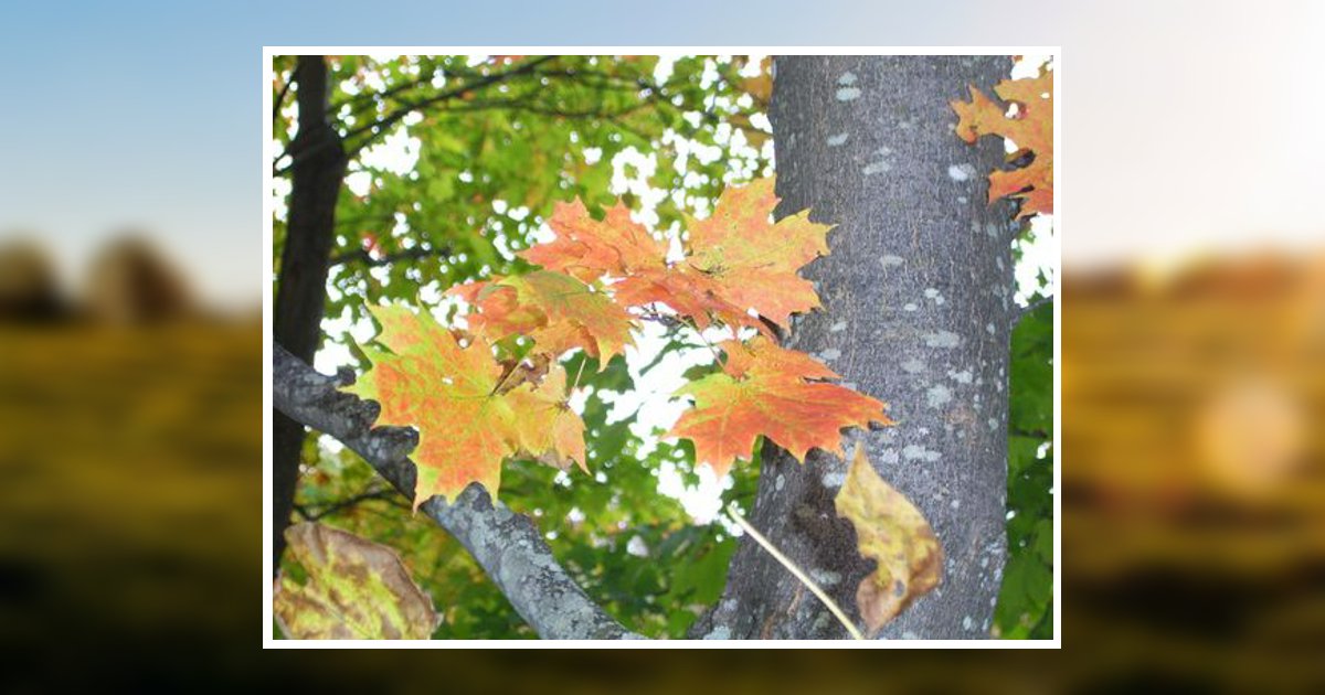 Erwin Burnett Obituary December 22, 2014 - Tubman Funeral Homes