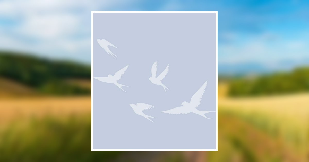 Catherine Ann "Gabby" Styer Obituary March 26, 2025 - Grenoble Funeral ...