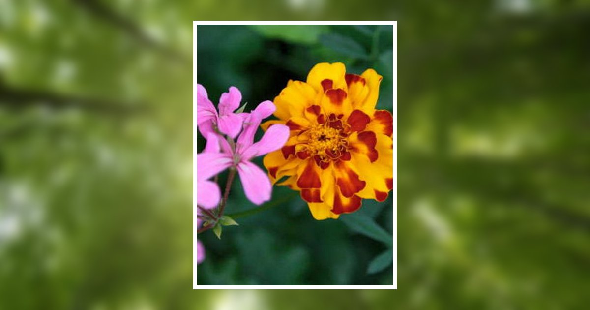 Faith Anne Fillmore Obituary February 6, 2024 - The Stuart Funeral Homes