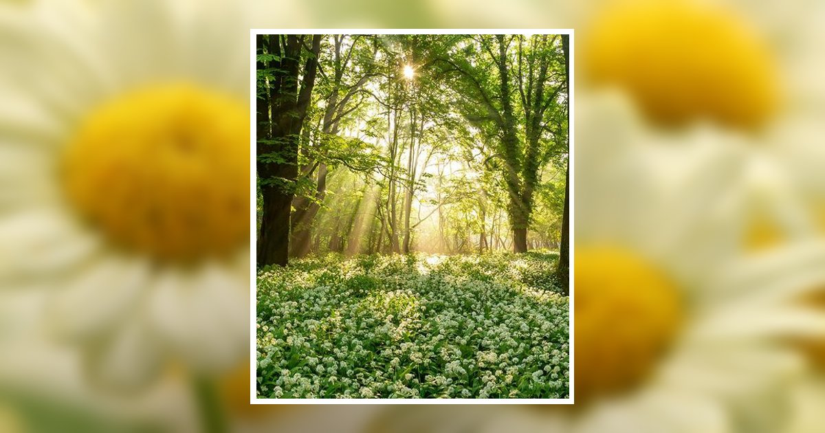 Dolores F. Yoest Obituary March 15, 2025 - Chicagoland Cremation Options