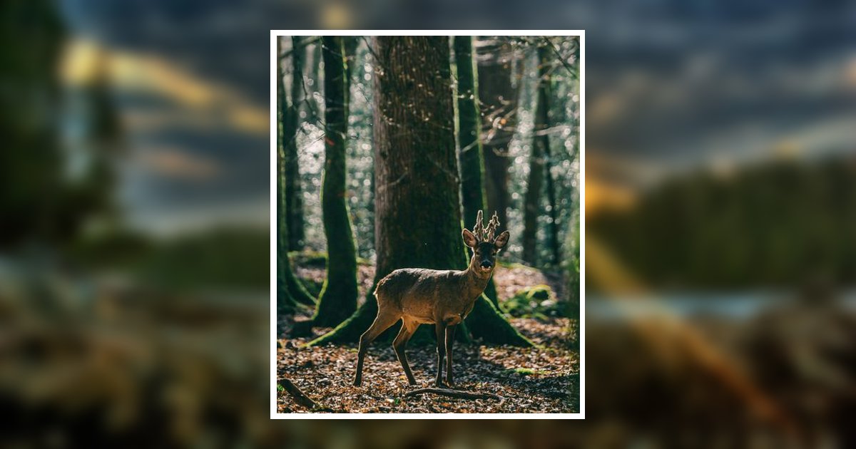 James E. Broder Obituary April 16, 2024 - Butzin Marchant Funeral Home