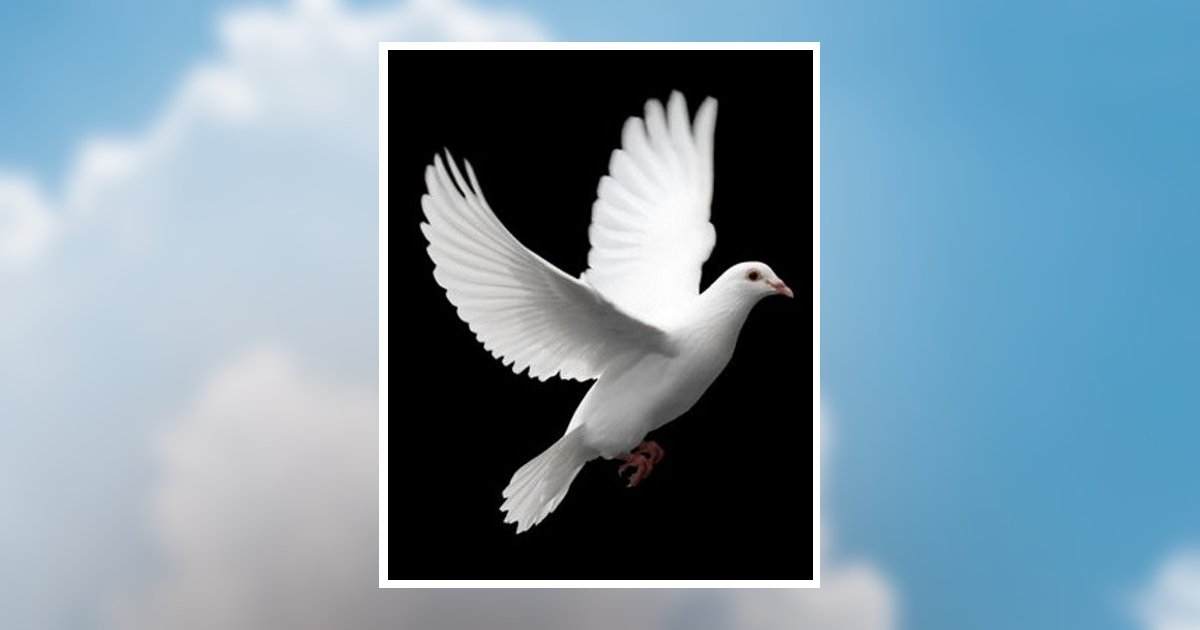 Darrin Ray Loving Obituary October 29, 2024 - Elgin Funeral Home