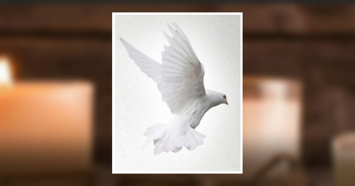 Robert John (Bob) Goetz Obituary July 16, 2025 - Horan & McConaty ...