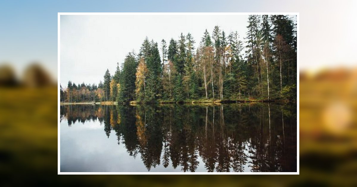 Donald Rapp Obituary August 24, 2020 - Lankford Funeral Home & Crematory