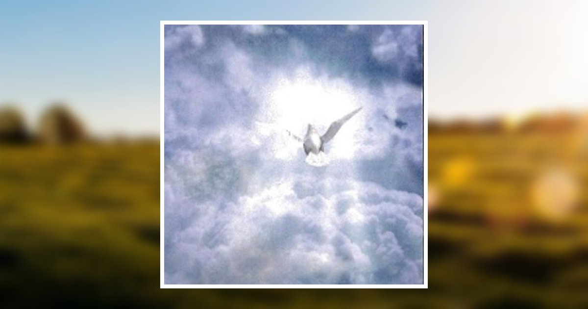 Hannah Joy Miller Obituary July 27, 2019 - Community Funeral Homes ...