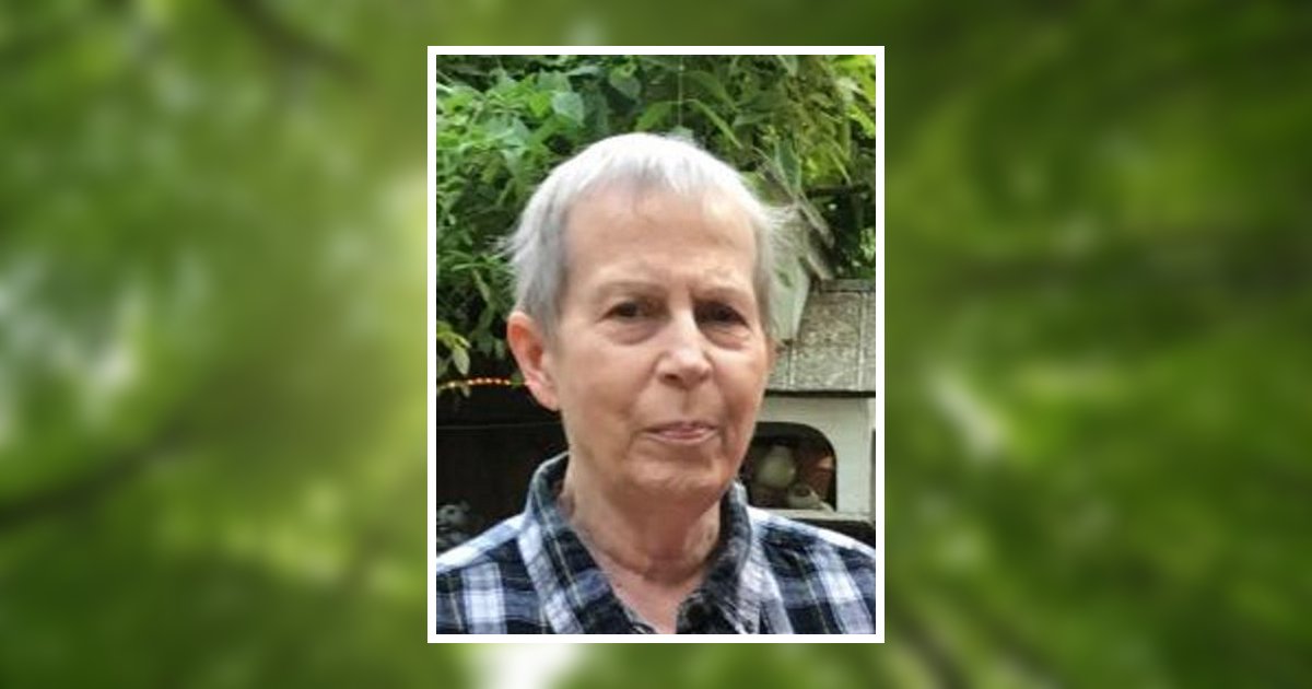 Sandra Sue Hewlett Obituary November 29, 2020 - Rendleman & Hileman ...