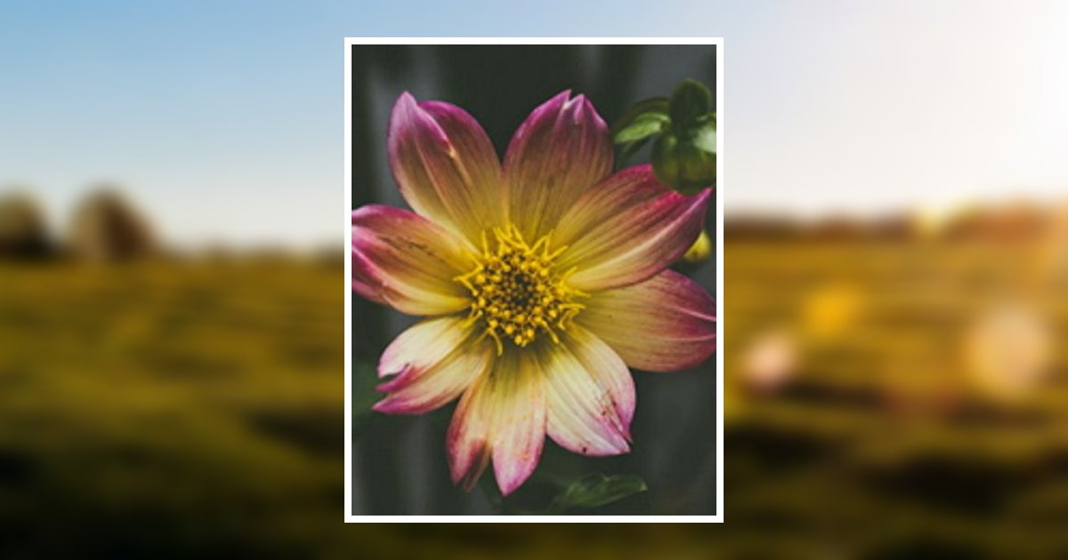 Emily May Woolsey Obituary April 18, 2022 - Hull & Hull Funeral Directors