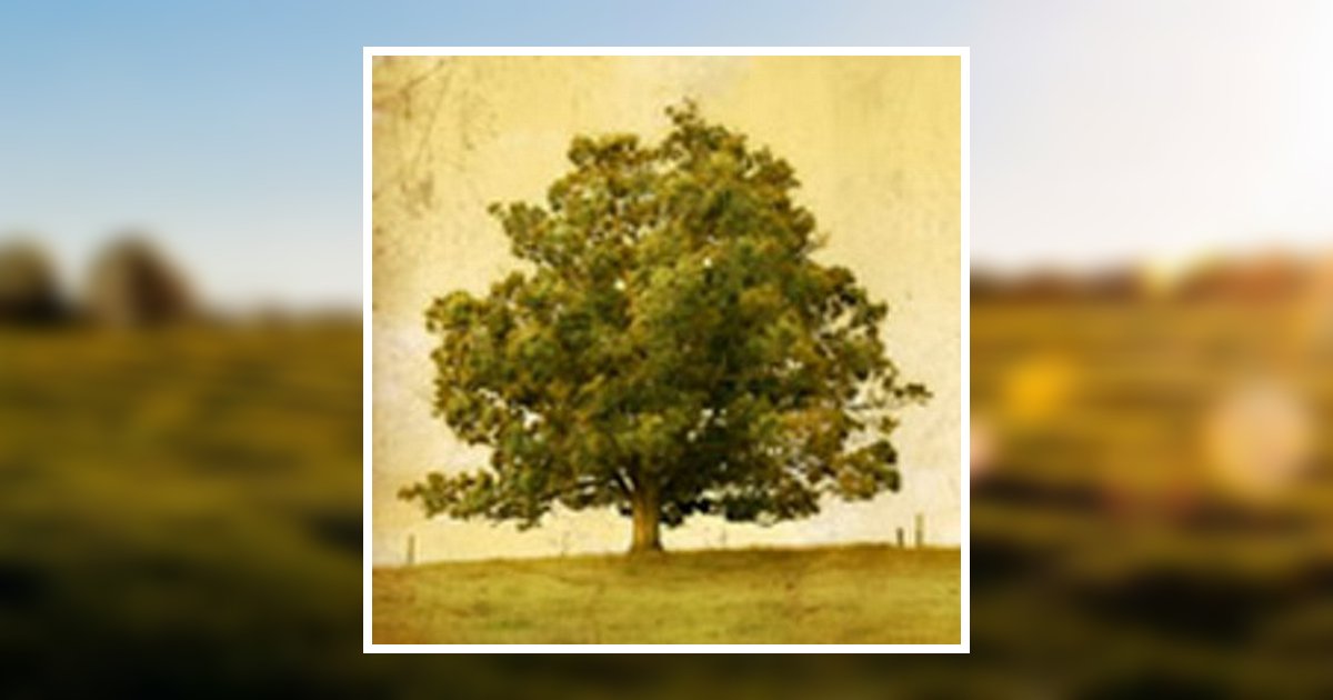 Bill Herron Obituary January 12, 2020 - Cutshall Funeral Home