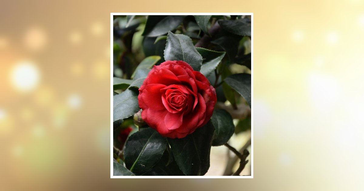 Mary T. Eade Obituary May 23, 2023 - Letro-McIntosh-Spink Funeral Home