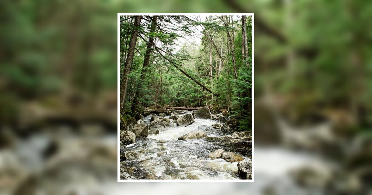 Ernest Loyd Shoemaker, Jr. Obituary February 16, 2023 - Linville ...