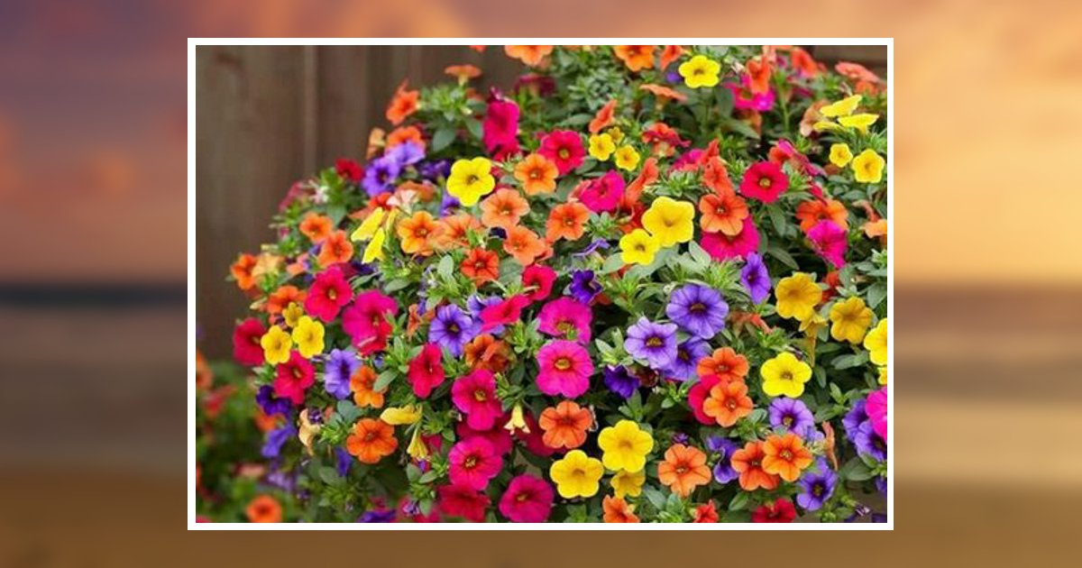 Elizabeth Fritzler Obituary October 8, 2024 - Halouska Family Chaney ...