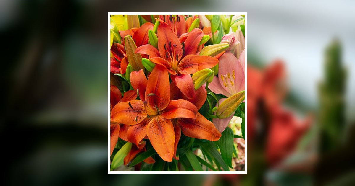 Rita Spencer Obituary July 5, 2025 - Cremation Society of Maryland, Inc.
