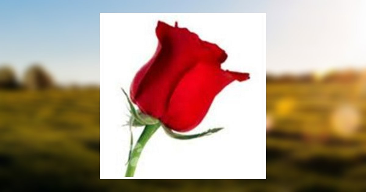 Michael Althoff Obituary December 7, 2013 - Smart Cremation