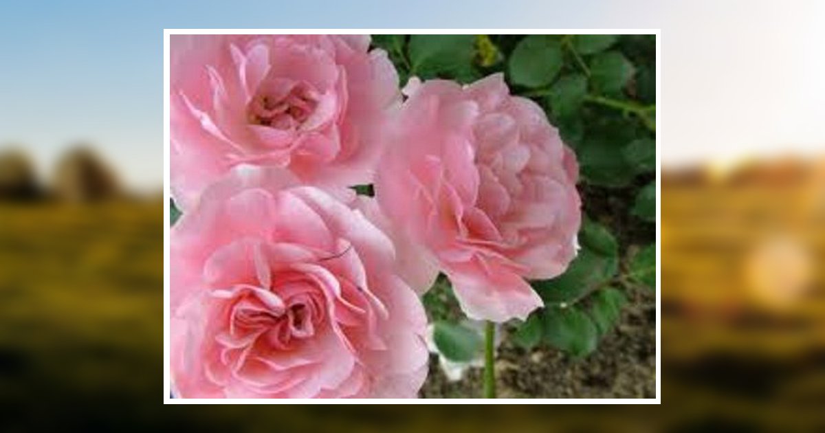 Mrs. Willa Dean Isaacson Mcreynolds Obituary May 14, 2014 - Smith ...