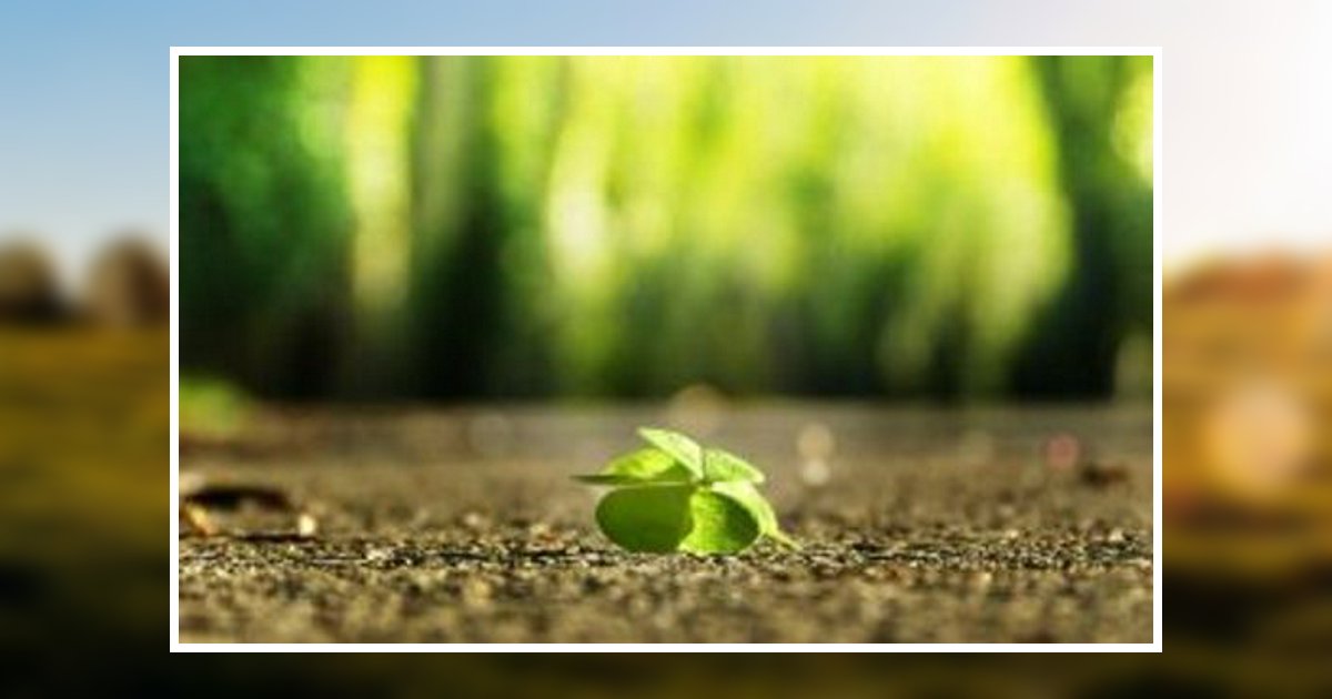 Kenneth Robert Epp Obituary - Cherished Memories Funeral Services ...