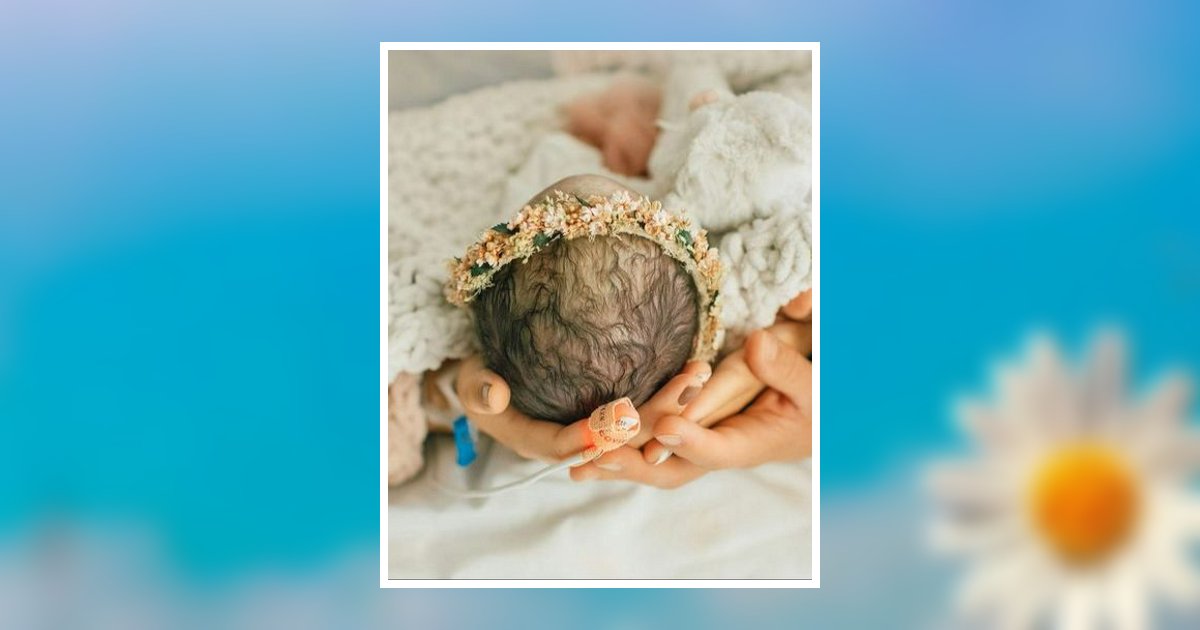 Isabella Grace Rhodes Obituary September 17, 2024 - McDougal Caldwell ...