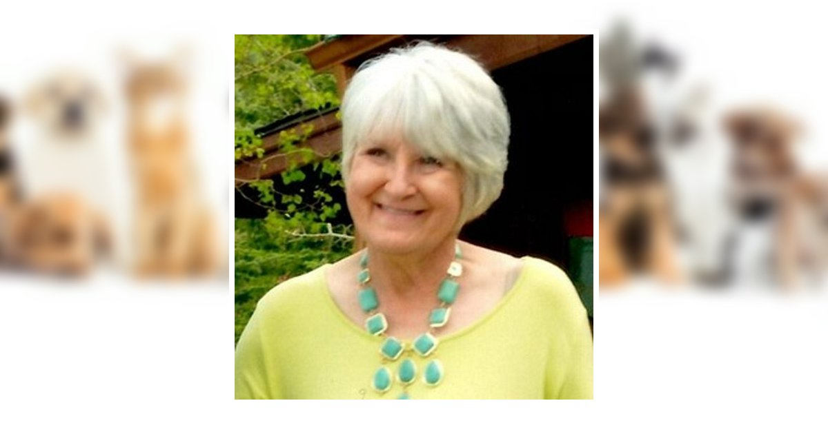 Judy Shook Obituary February 12, 2023 - Newcomer St. Louis