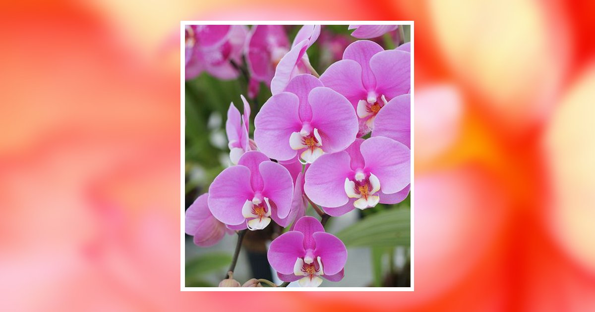 Sandra "Sandy" Jane Hickenbottom Obituary June 14, 2025 - Kimble ...