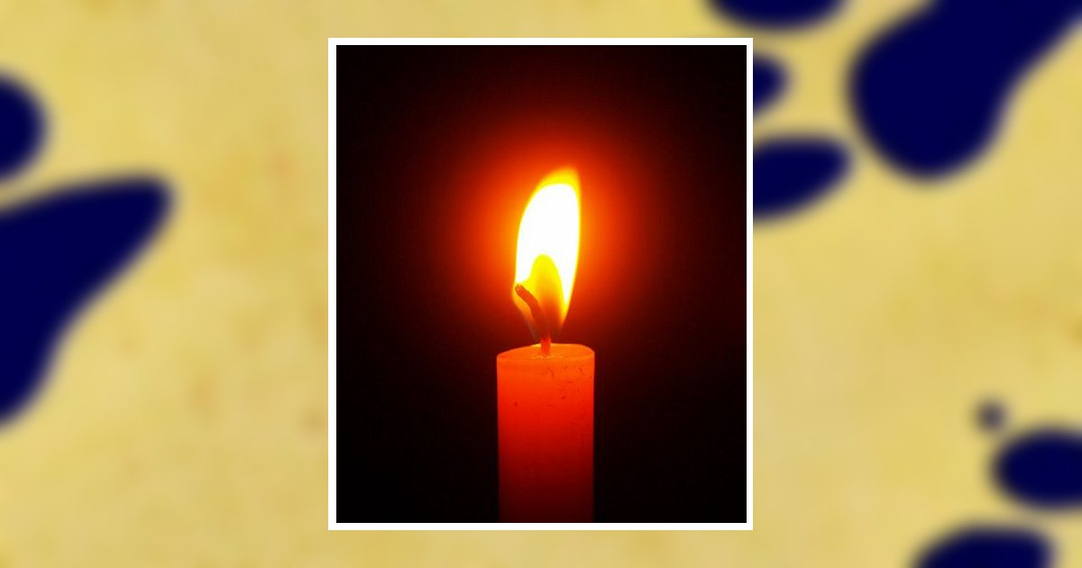 Lynda Lane Doss Obituary December 24, 2023 - Twin Oaks Memorial Gardens ...