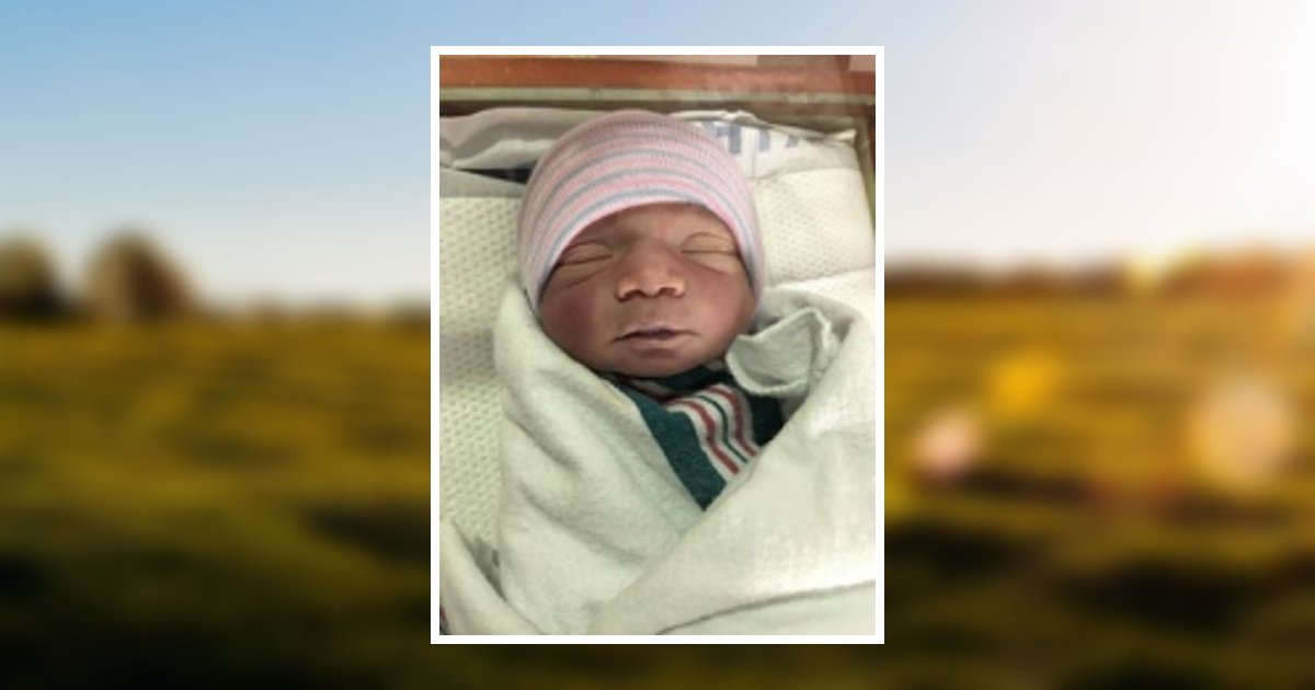 James Leon Chavis, Jr. Obituary September 18, 2016 - Pellerin Funeral Homes