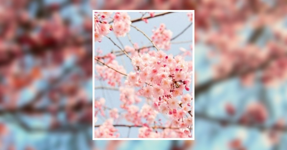 Geraldine Rice Carter Obituary September 30, 2022 - Shannon Funeral ...