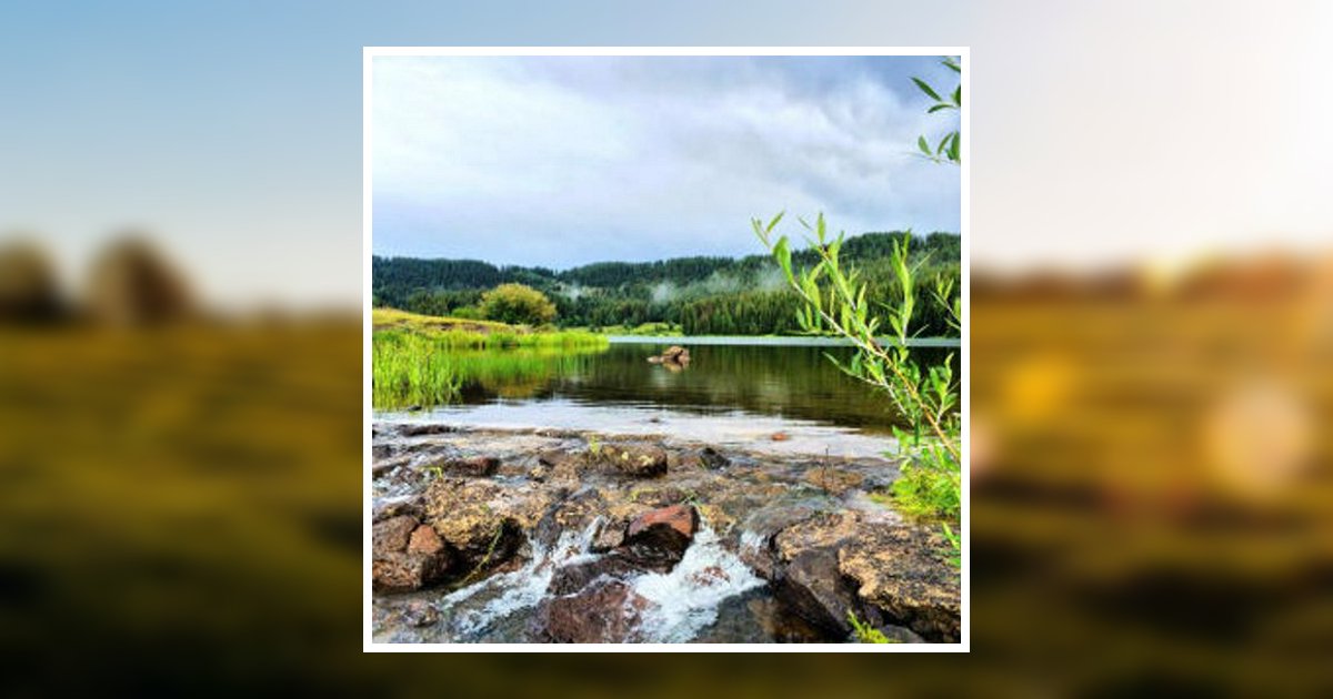 Robert Farrell Obituary March 26, 2017 - Brown's Cremation & Funeral ...