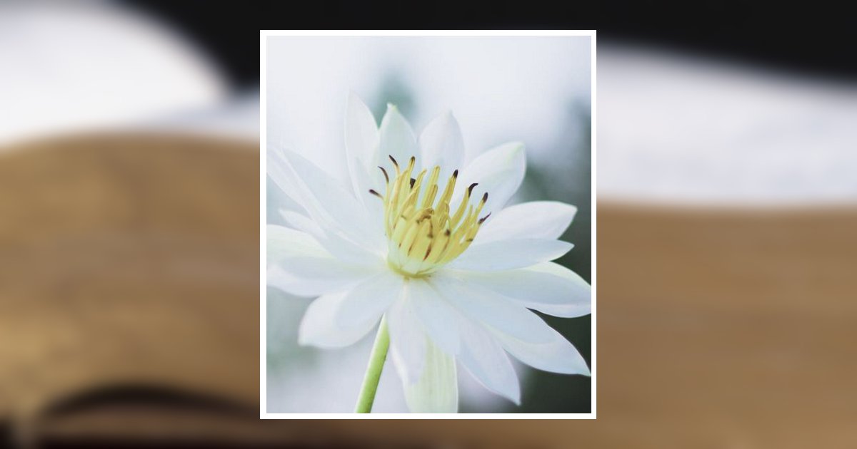 Hannah K. Beiler Obituary November 24, 2023 - Dominick T. Adamo Funeral ...