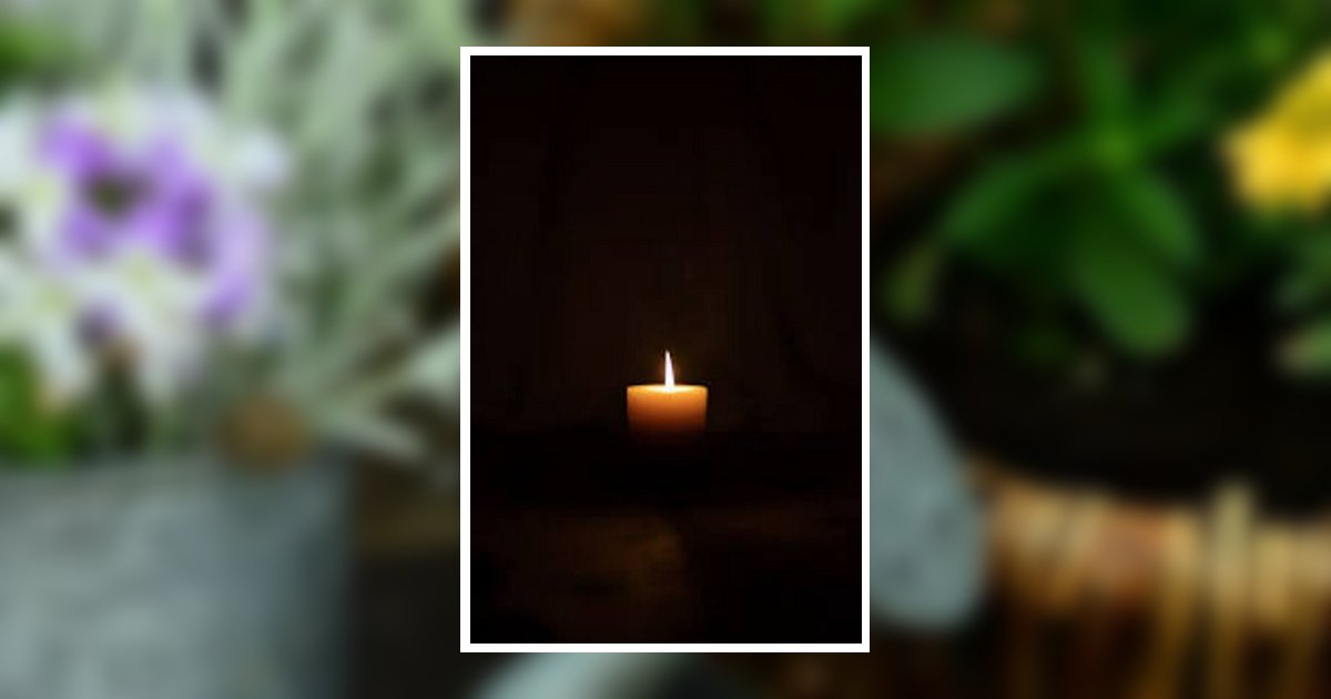 Nancy Stapleton Obituary July 2, 2024 - Westbrock Funeral Home