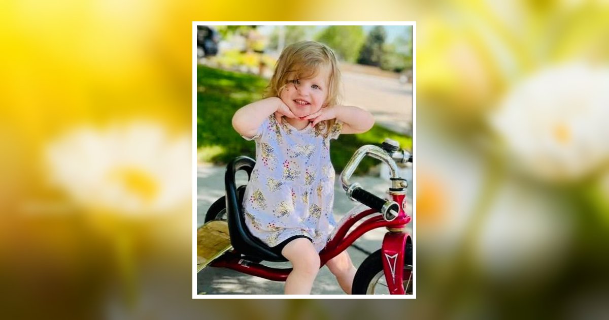 Brooke Seline Harshman Obituary February 10, 2025 - Thompson Funeral ...