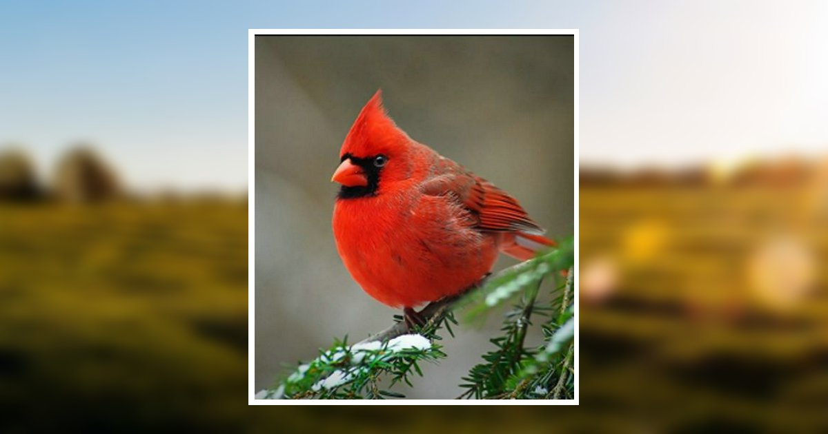 Nathan Wyman Obituary January 4, 2021 - Titus Funeral Home and ...