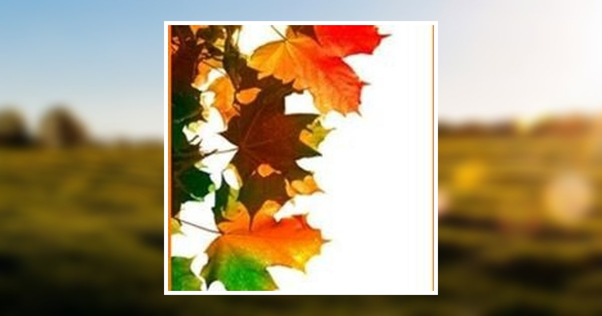 Ralph Warren Collier Obituary November 28, 2013 - Farnstrom Mortuary