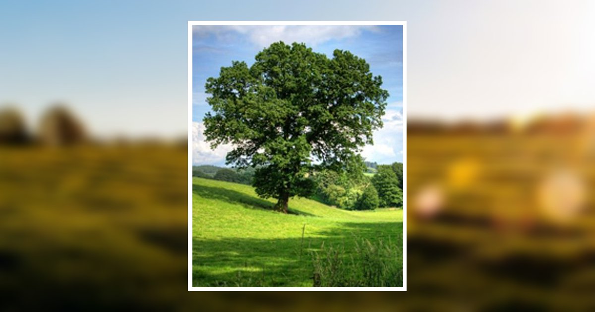 David Johnson Obituary October 26, 2019 - Sunset Memorial Gardens ...