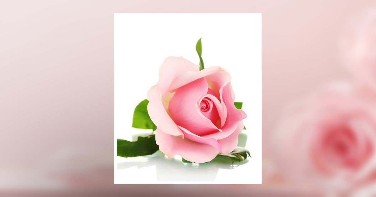 Patsy Lynn Baker Obituary May 10, 2025 - Low Country Cremation & Burial ...