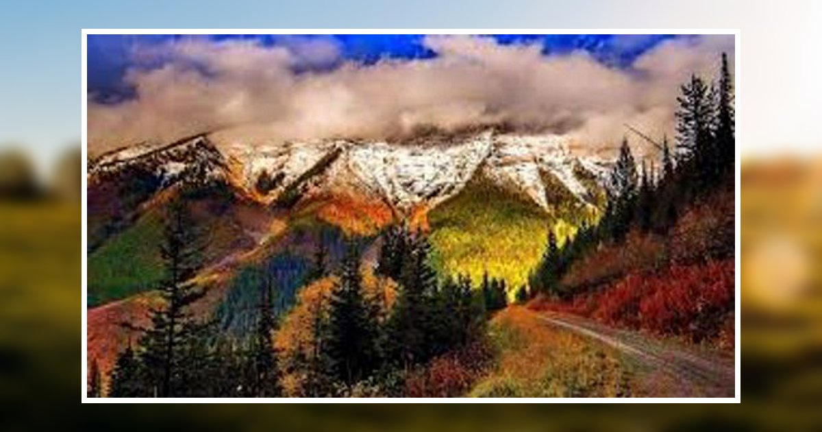 Bruce Mccully Obituary June 12, 2022 - Buffalo Hill Funeral Home ...