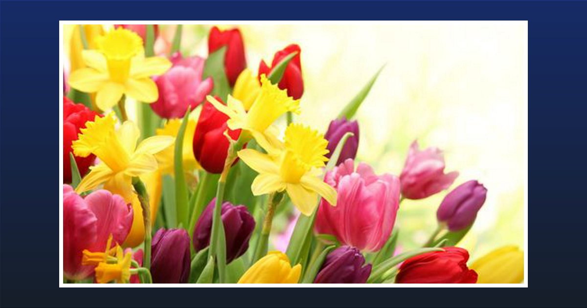 Arloa Anderson Obituary April 20, 2025 - Stokes, Prock & Mundt Funeral ...