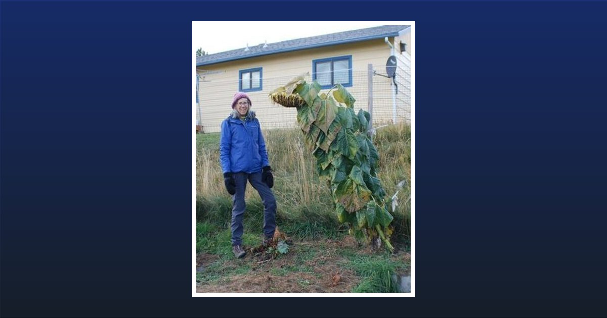 Barbara Noggle Obituary December 14, 2023 - Garden City Funeral Home ...